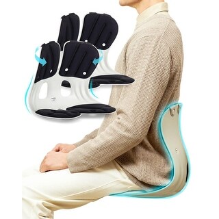 Chair [Adult] Ergonomic Chair Back Support, Lumbar Support for Good ...